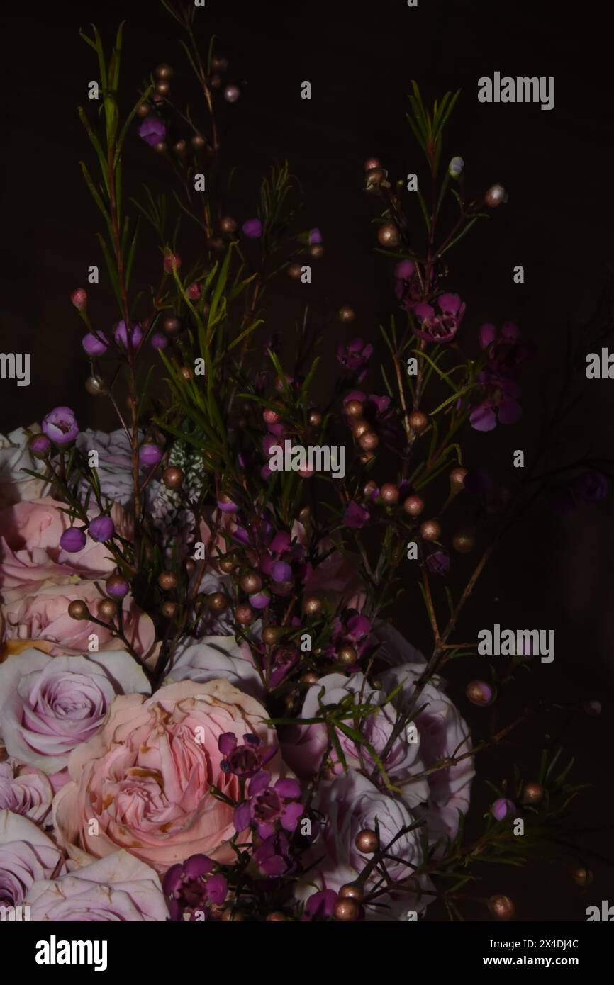 Pétales de roses hi-res stock photography and images - Alamy