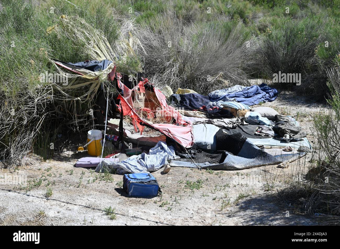 Homeless den hi-res stock photography and images - Alamy