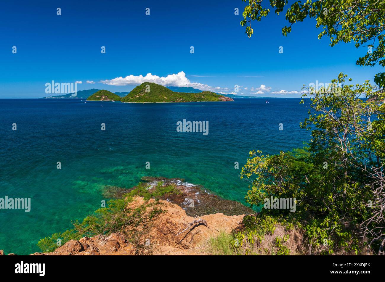 Petite anse guadeloupe hi-res stock photography and images - Alamy