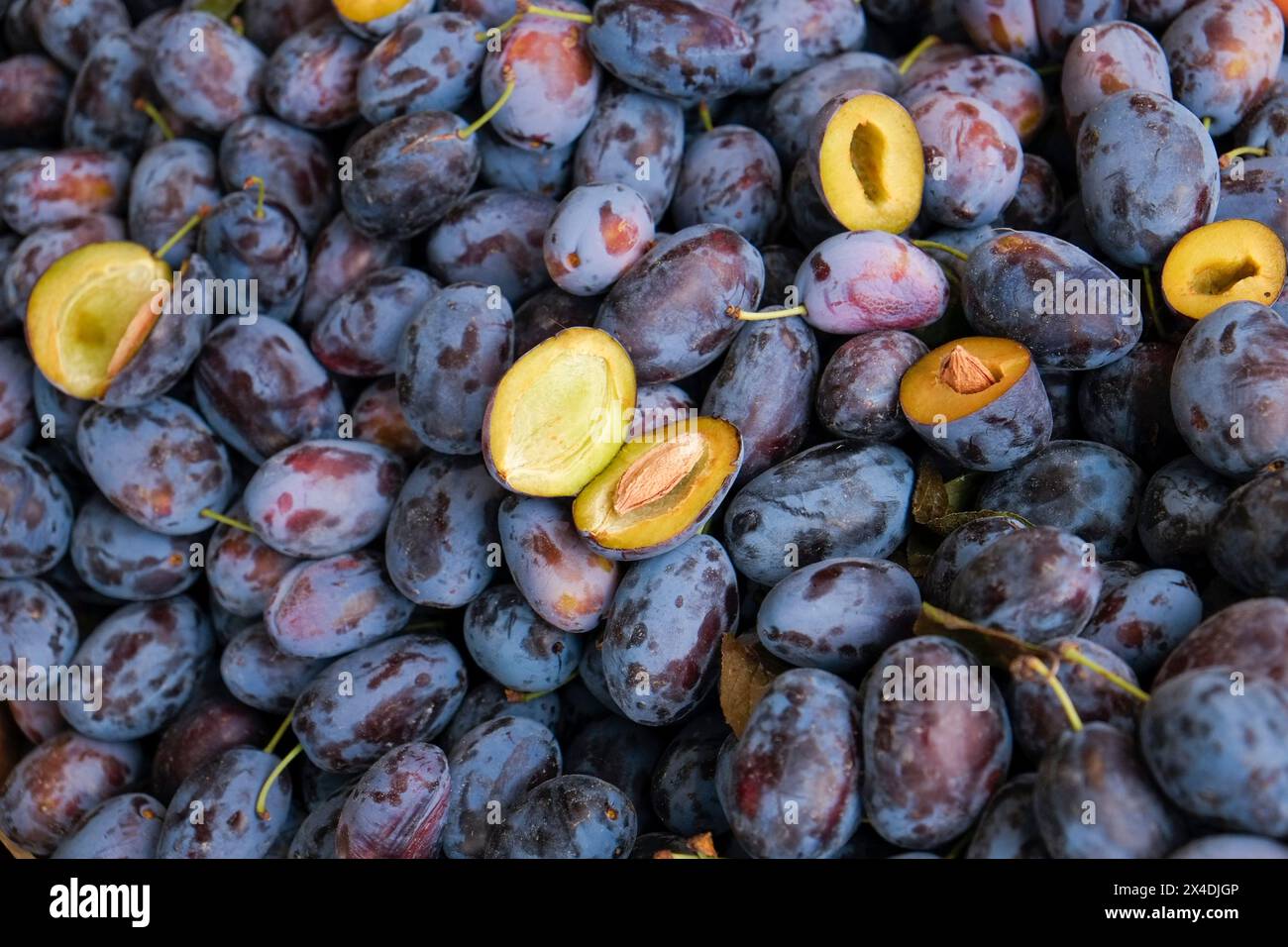 Plums germany hi-res stock photography and images - Alamy