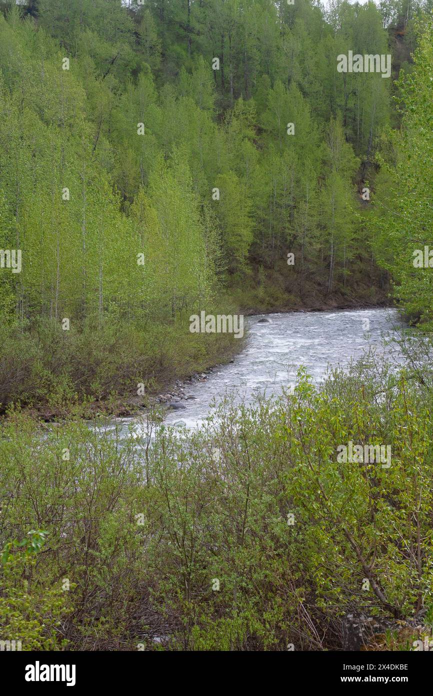 Remote river, flowing through the Alaska terrain with green vegetation ...