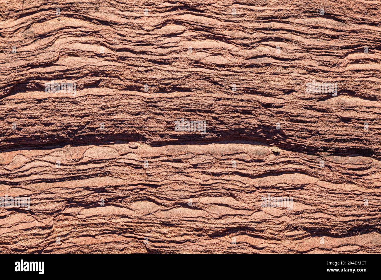 A section of ancient sandstone sediment showing eroded layers in a ...