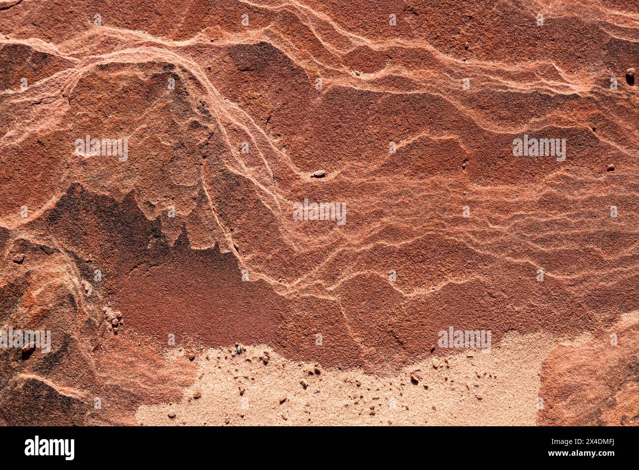 A section of ancient sandstone sediment showing eroded layers in a ...