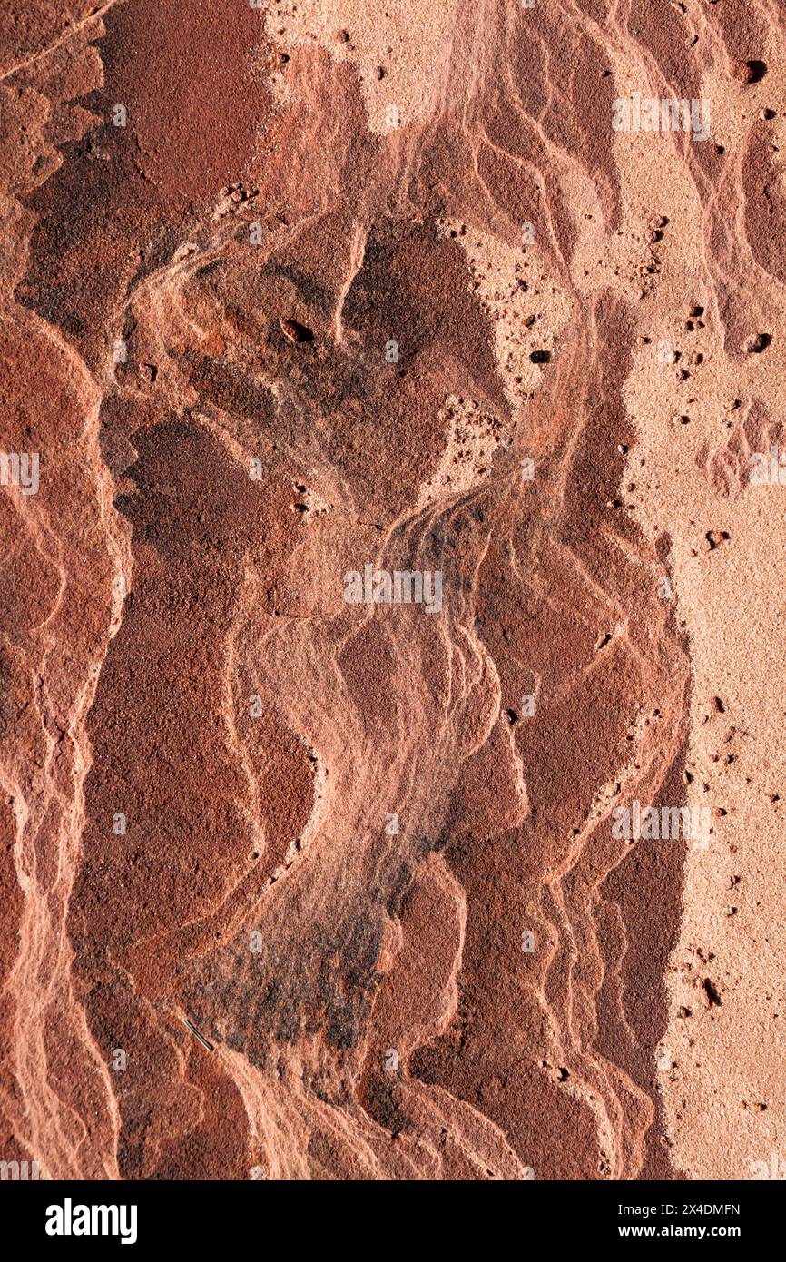 A section of ancient sandstone sediment showing eroded layers in a ...