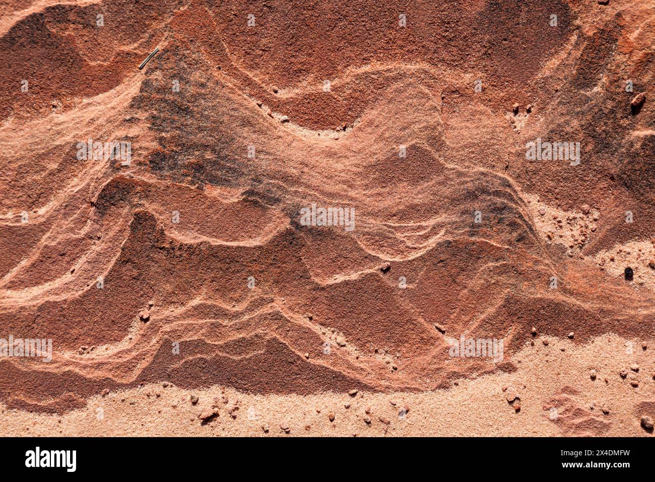 A section of ancient sandstone sediment showing eroded layers in a ...
