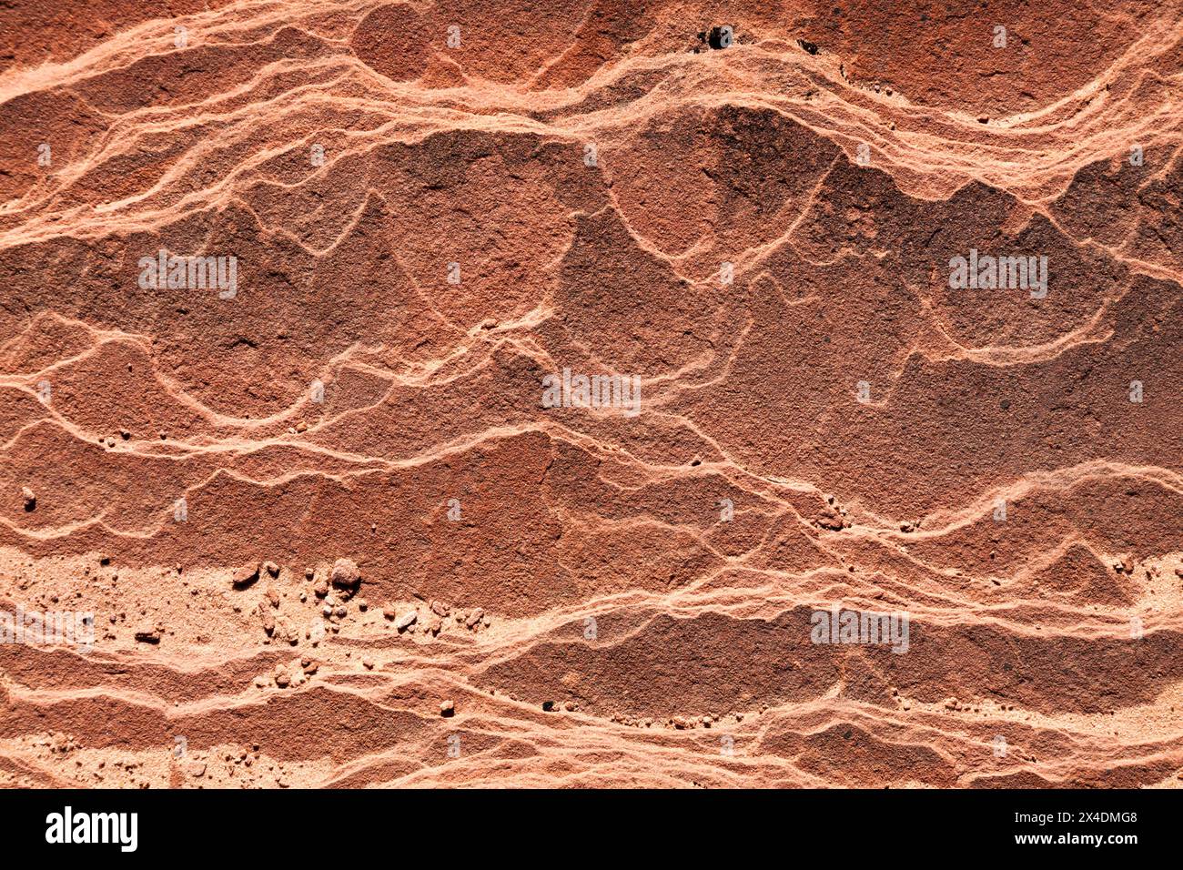 A section of ancient sandstone sediment showing eroded layers in a ...