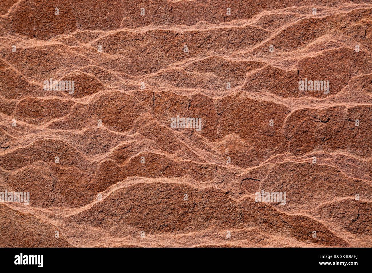 A section of ancient sandstone sediment showing eroded layers in a ...