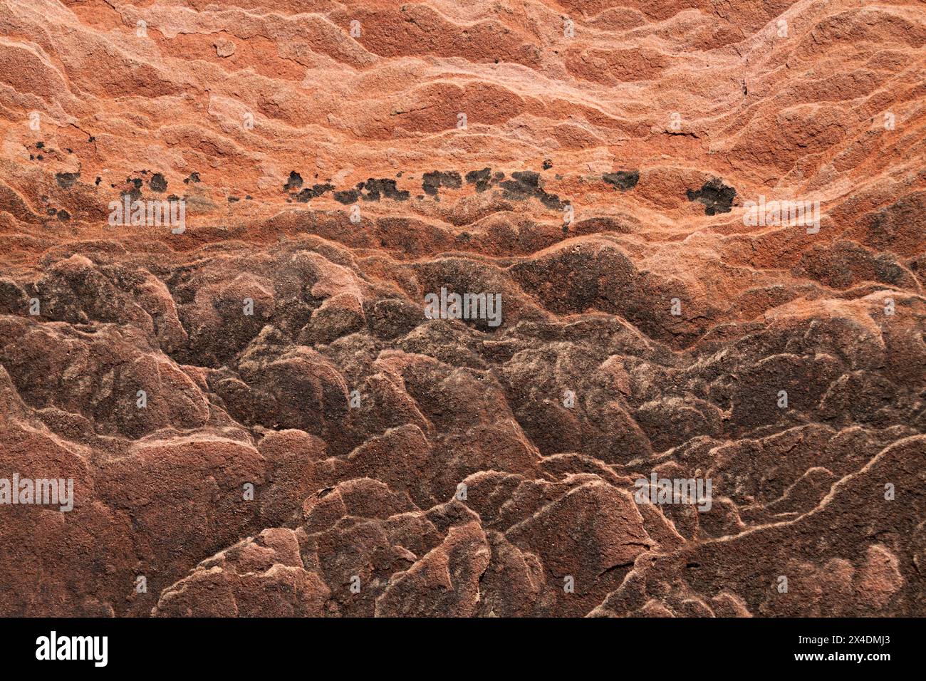 A section of ancient sandstone sediment showing eroded layers in a ...