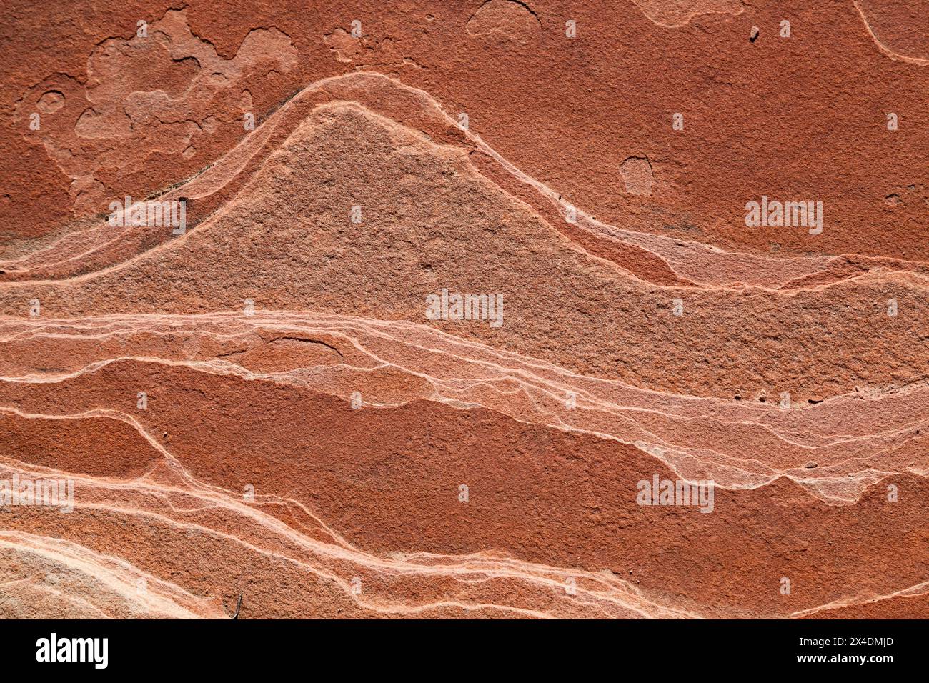 A section of ancient sandstone sediment showing eroded layers in a ...