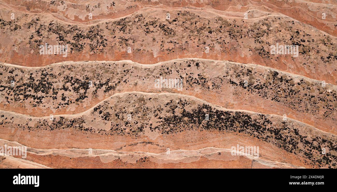 A section of ancient sandstone sediment showing eroded layers in a ...