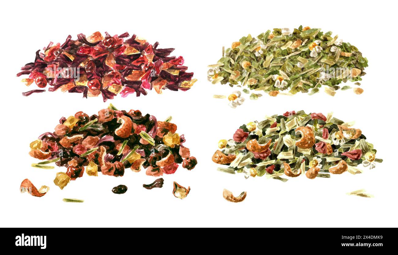 Herbal and Fruit tea brewing set. Hand drawn watercolor illustration ...