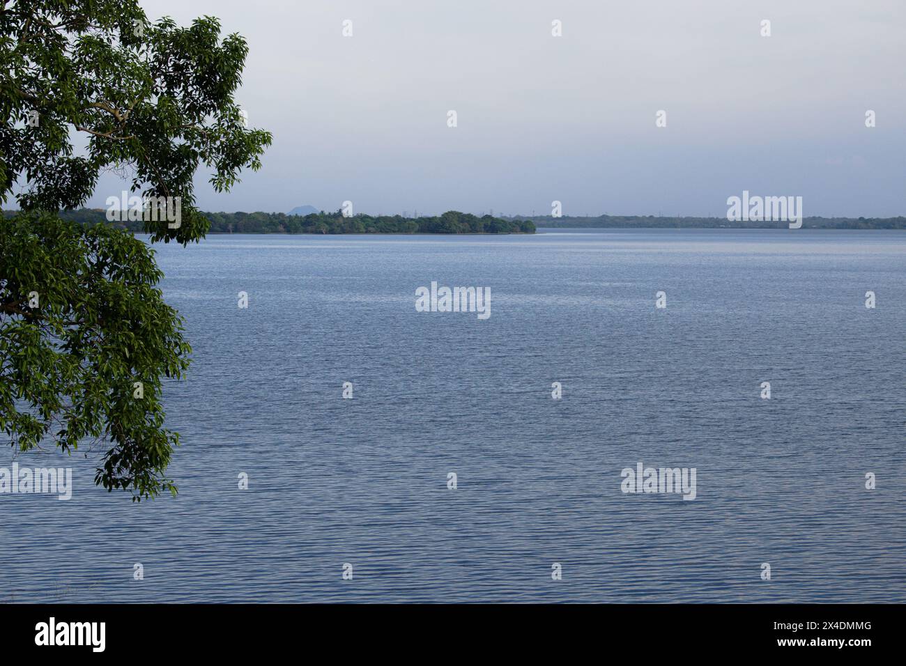 Came across these beauties hi-res stock photography and images - Alamy