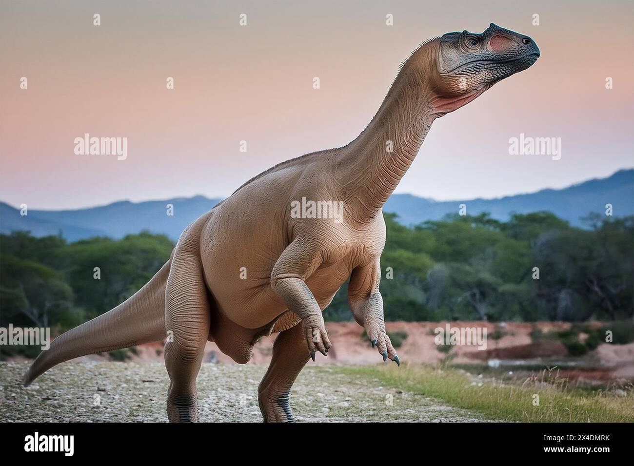 Giganotosaurus is a genus of theropod dinosaur that lived in what is now Argentina Stock Photo ...