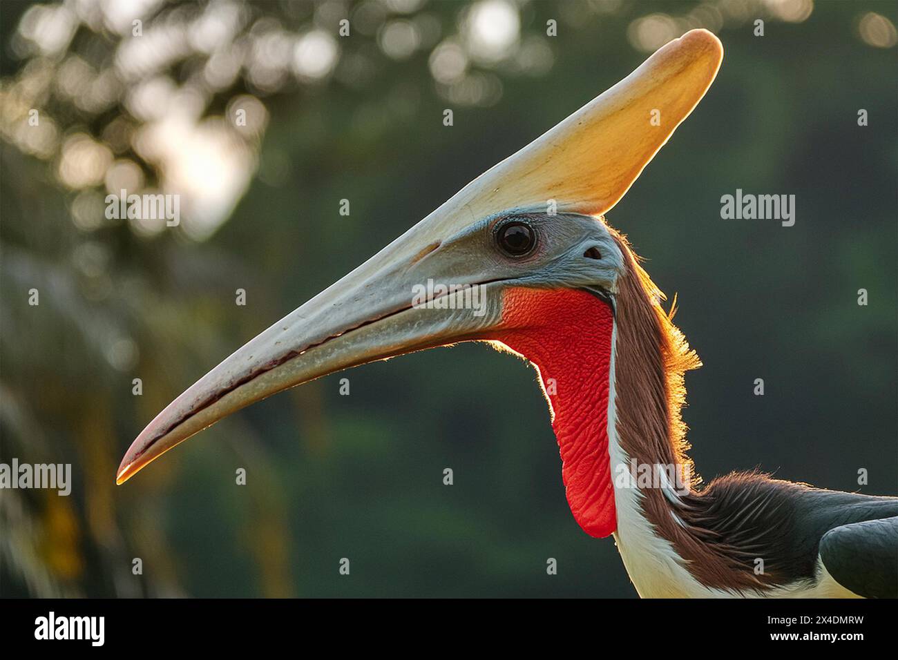 Quetzalcoatlus is a genus of azhdarchid pterosaur known from the Late ...