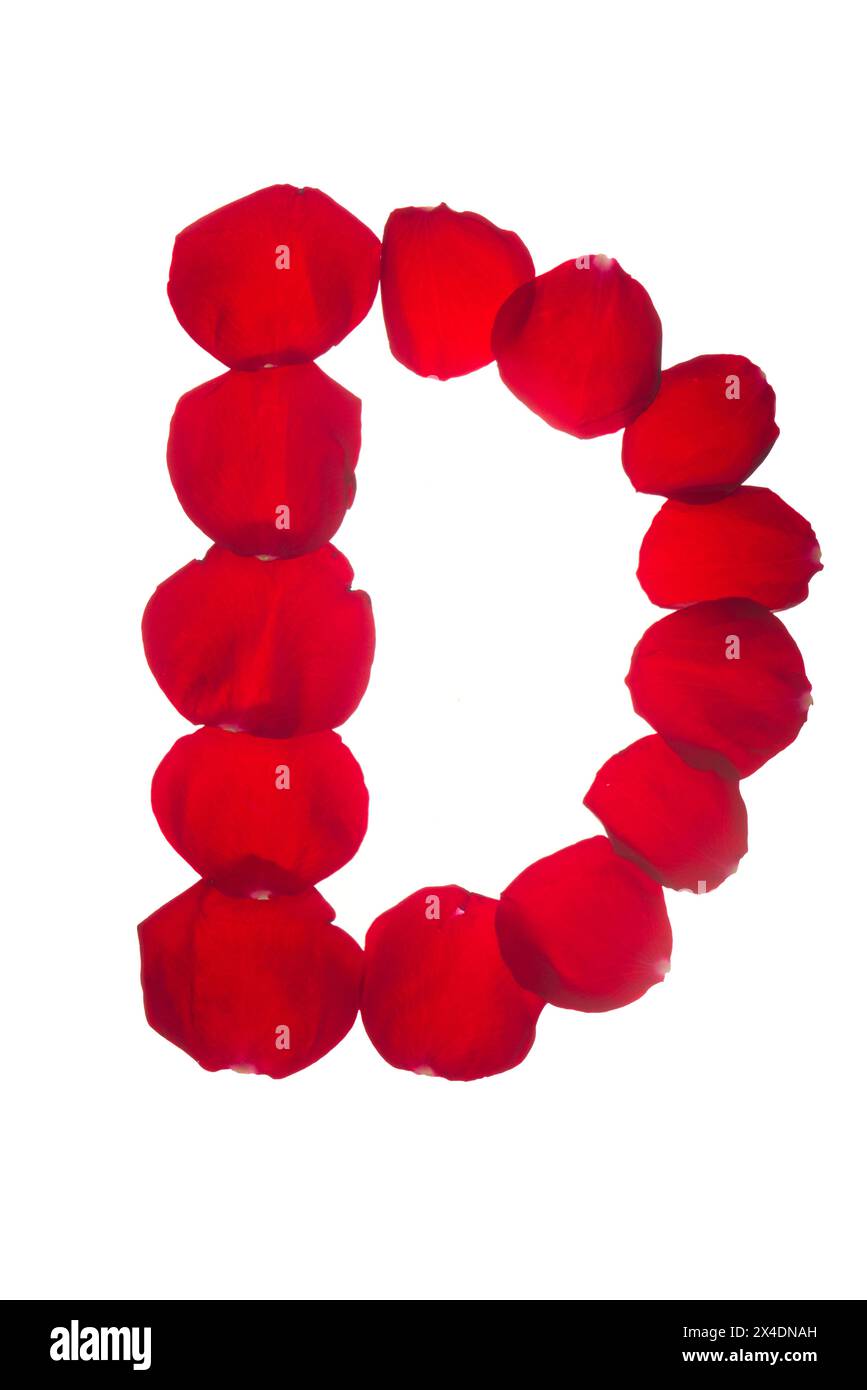 Letter D formed of red rose petals of white background. Symbolizes ...
