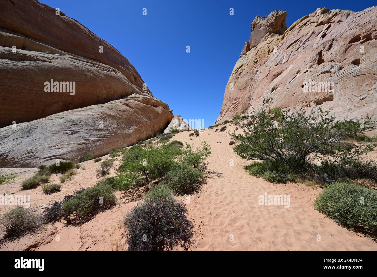 White Domes Trail in Nevada USA on a hot April day in 2024 Stock Photo ...