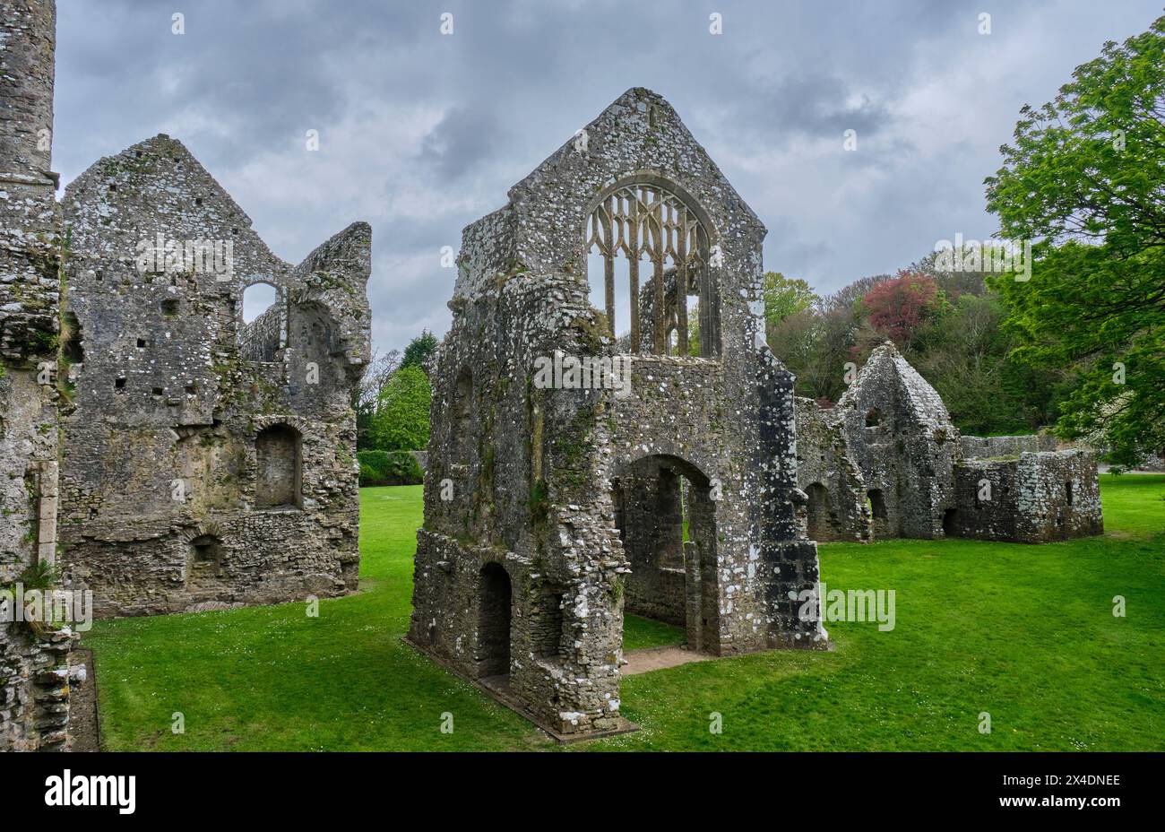 The Old Chapel remains and Western Hall at the Bishop's Palace, Lamphey ...