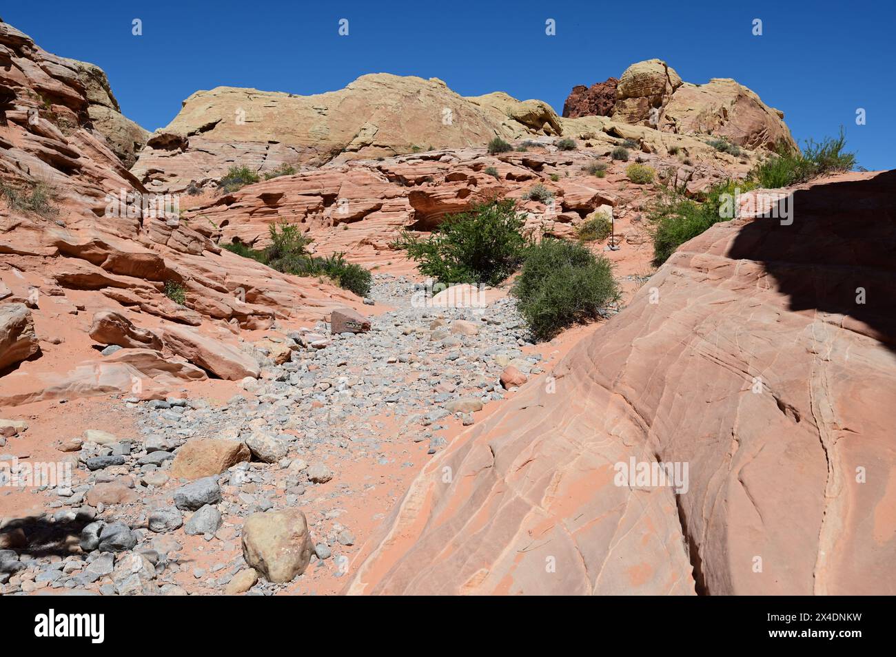 White Domes Trail in Nevada USA on a hot April day in 2024 Stock Photo ...