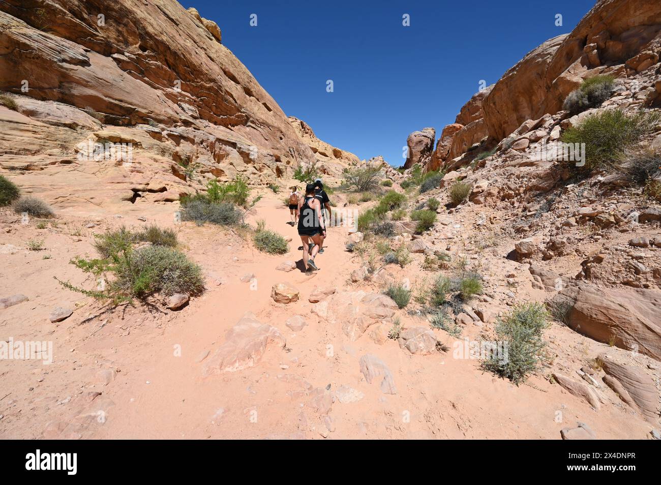 White Domes Trail in Nevada USA on a hot April day in 2024 Stock Photo ...