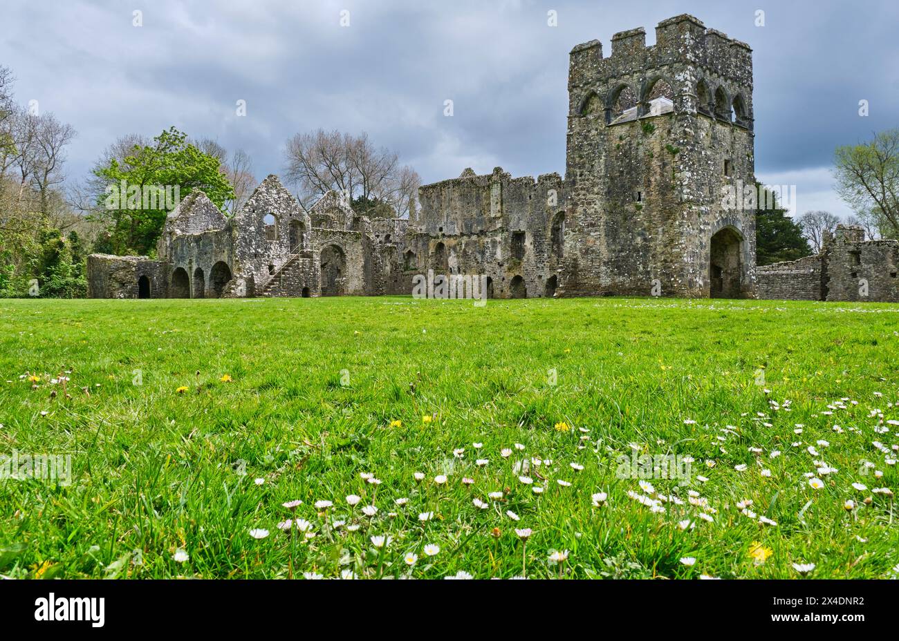 Lamphey wales hi-res stock photography and images - Alamy