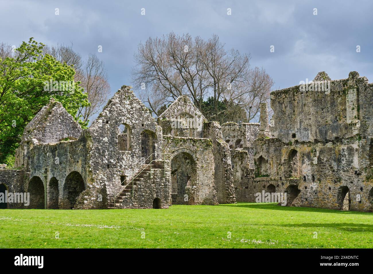 The Bishop's Palace, Lamphey, Pembrokeshire, Wales Stock Photo - Alamy