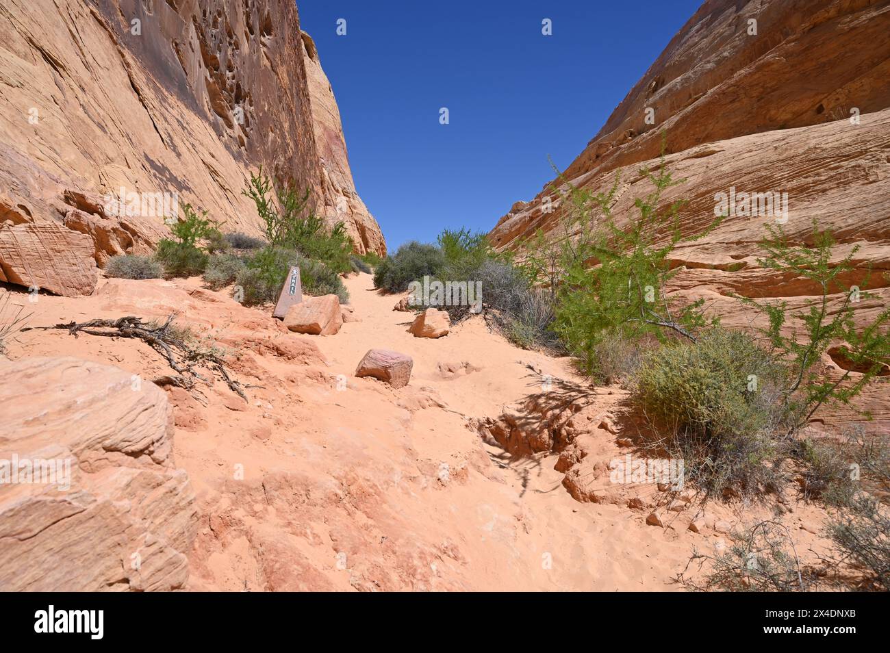 White Domes Trail in Nevada USA on a hot April day in 2024 Stock Photo ...