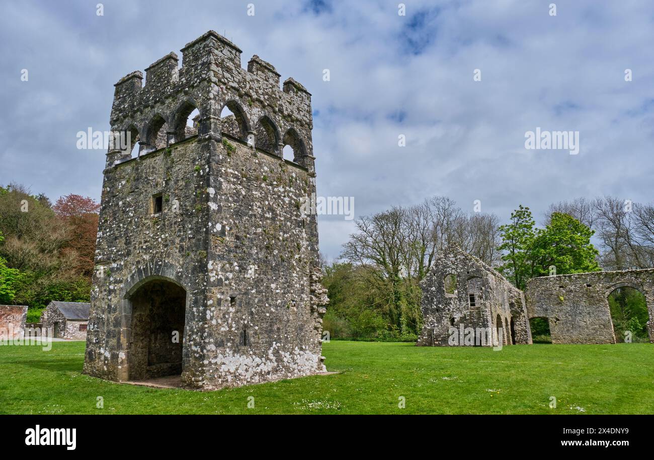 The Bishop's Palace, Lamphey, Pembrokeshire, Wales Stock Photo - Alamy