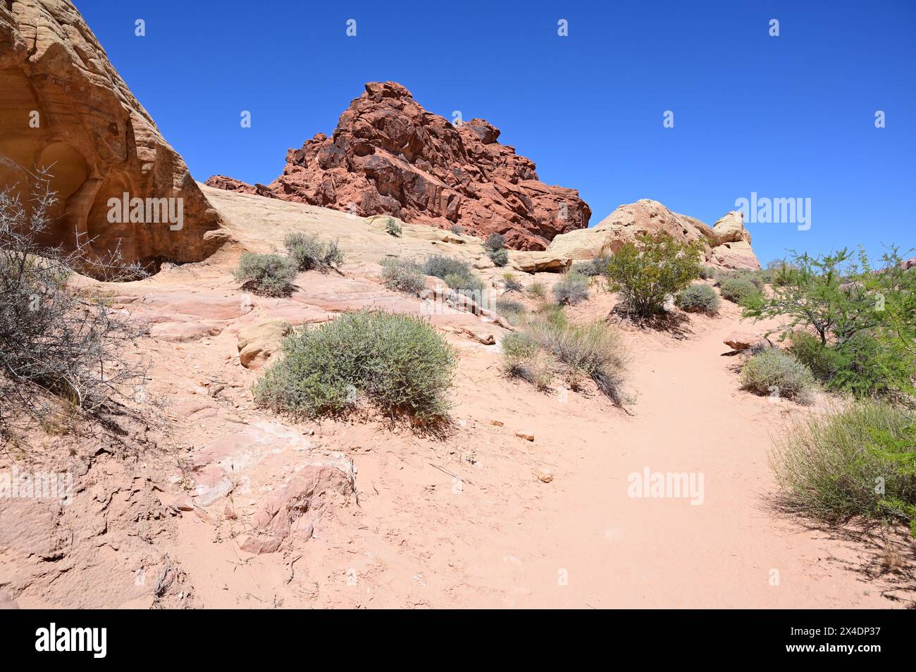 White Domes Trail in Nevada USA on a hot April day in 2024 Stock Photo ...