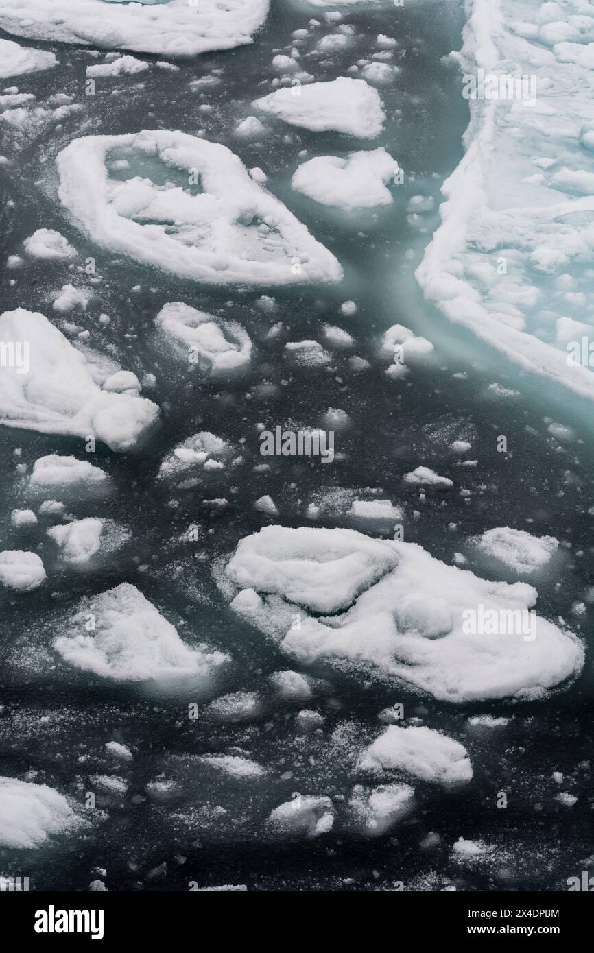 Ice floes in the Arctic Ocean. North polar ice cap, Arctic Ocean Stock ...