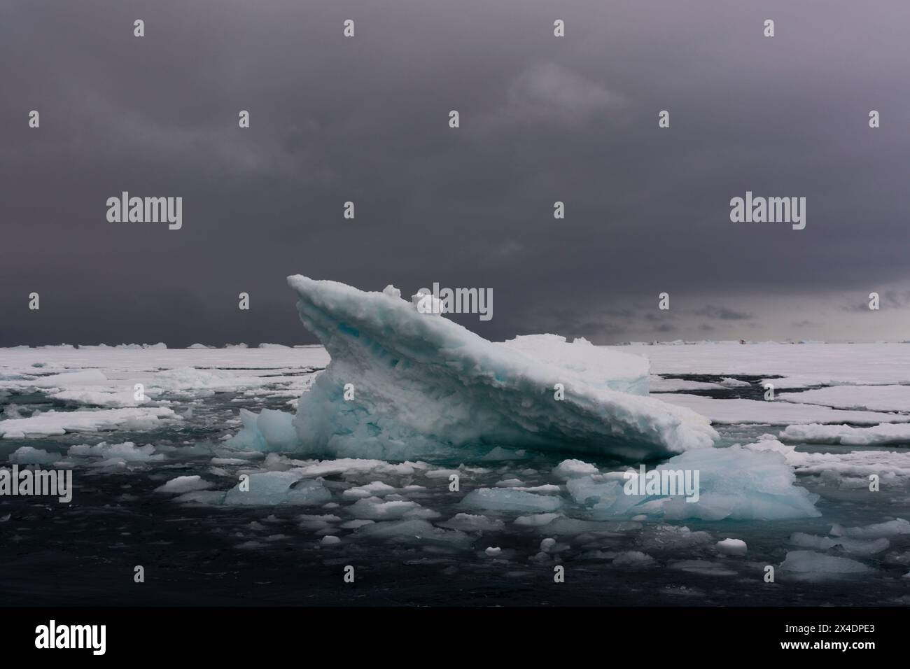 Sea ice at Brasvellbreen, south of Austfonna ice cap. Nordaustlandet ...