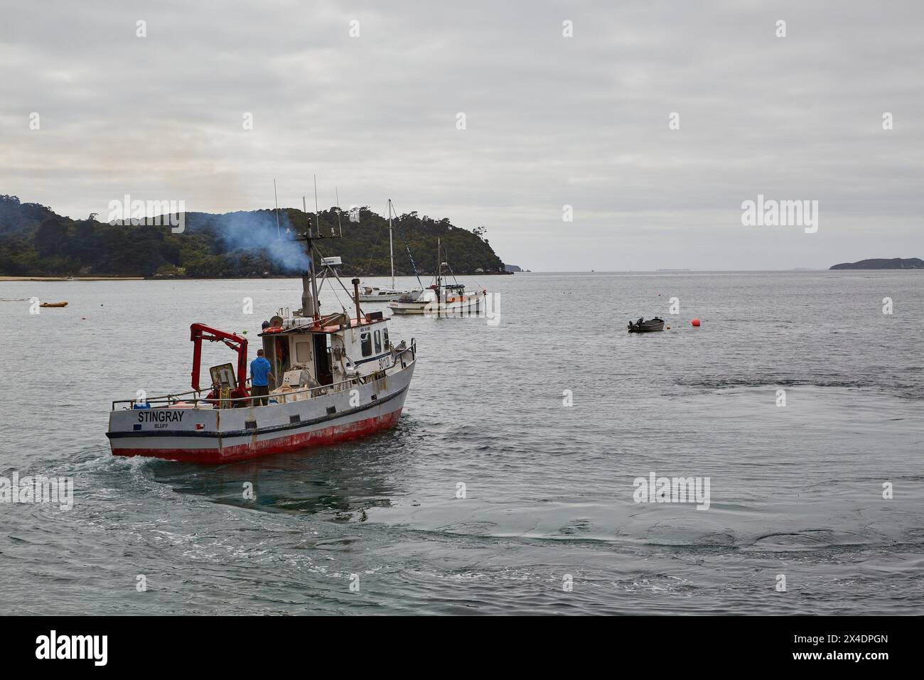 Sea bay harbor landscape, Oban, New Zealand Stock Photo - Alamy