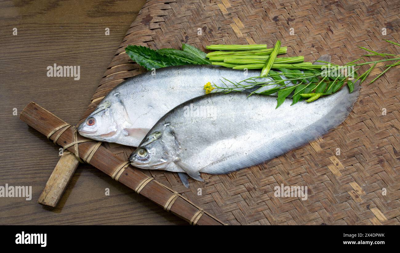 Foli fish or notopterus featherback fish on Bamboo tray with curry ...