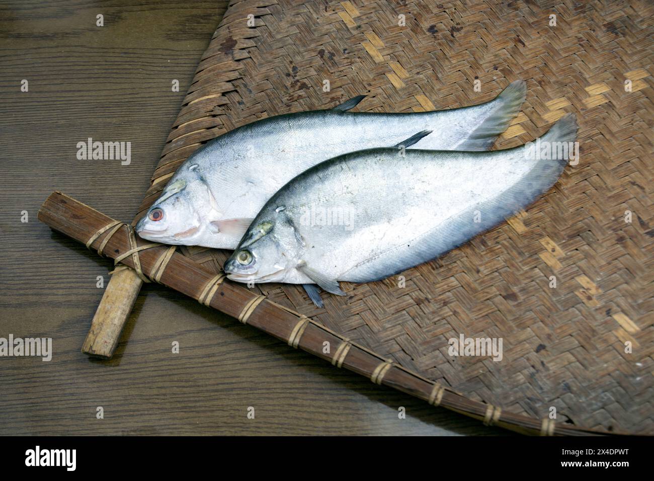 Phosphorus bronze hi-res stock photography and images - Alamy