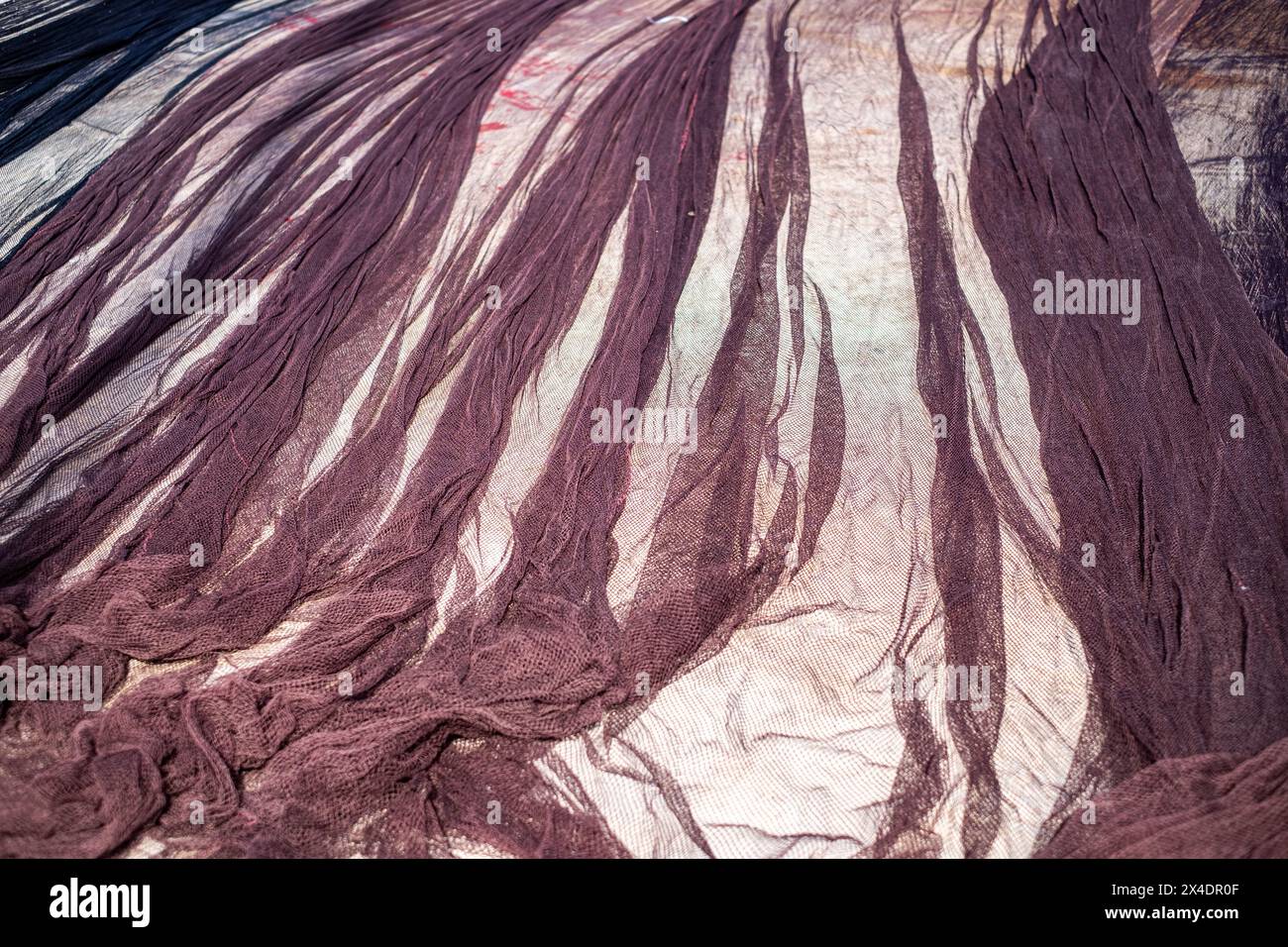 Spread out and sunlit, abandoned maroon fishing nets create a textured ...
