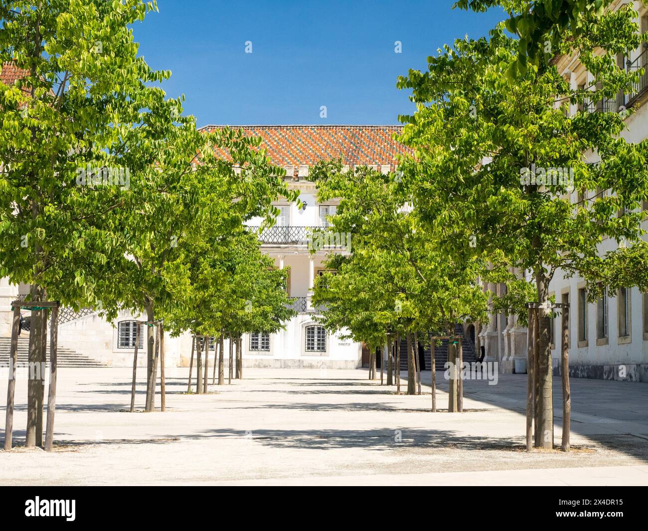 Plaza trees hi-res stock photography and images - Alamy