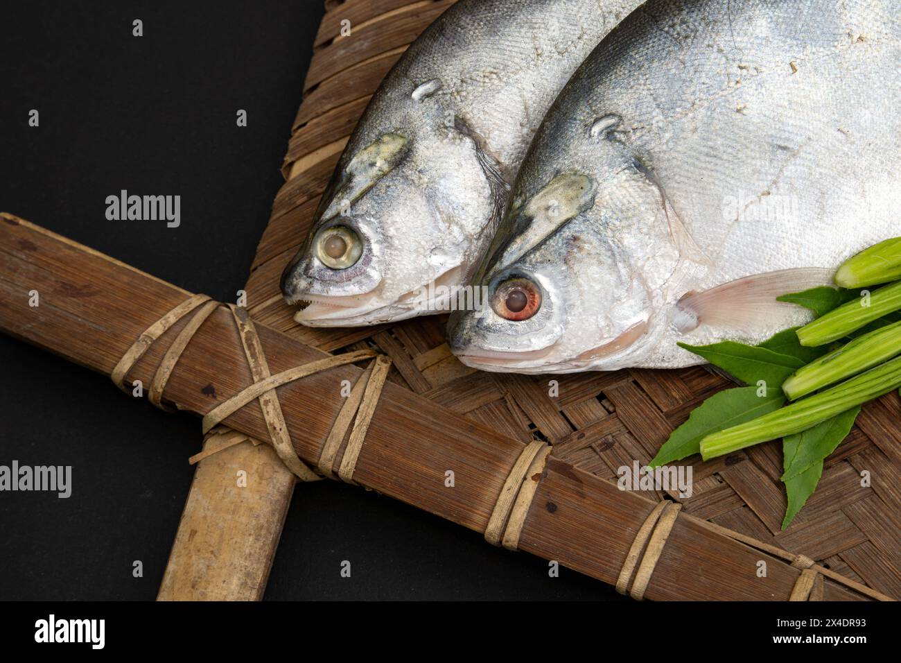 Foli fish or notopterus featherback fish on Bamboo tray with curry ...