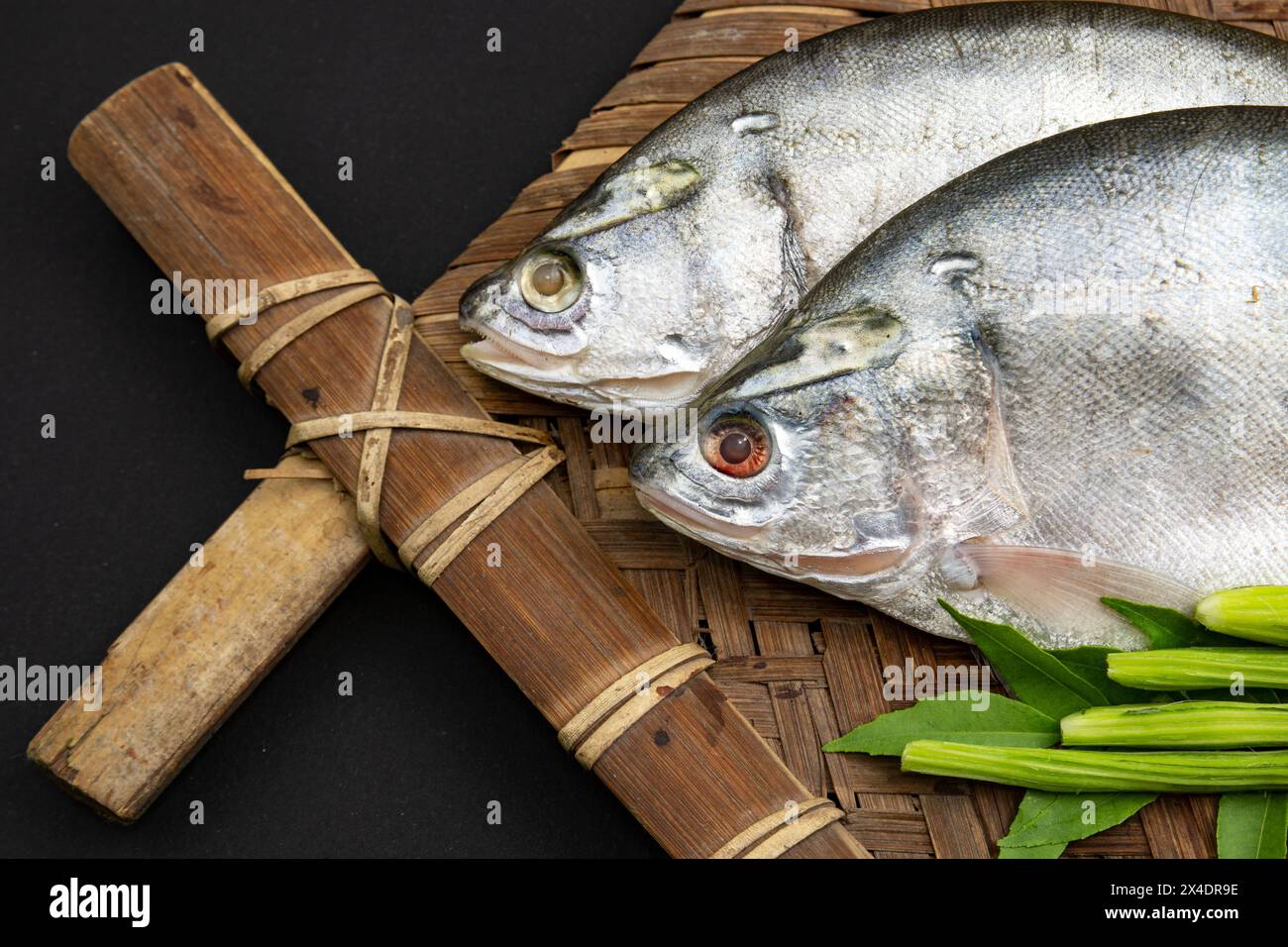 Foli fish, notopterus featherback fish on Bamboo tray. Bronze ...