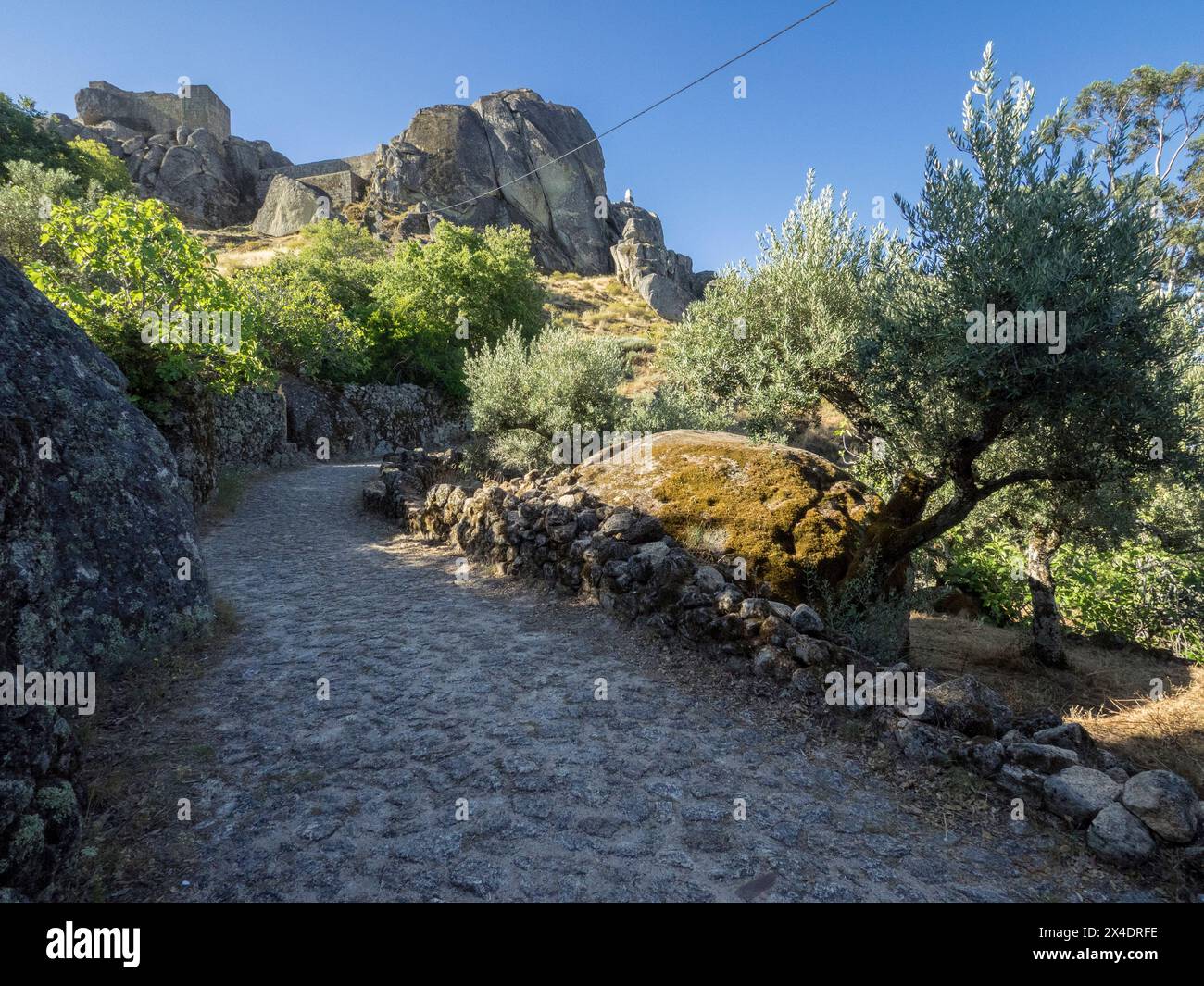 The trail leading up to the Monsanto Castle (Castelo de Monsanto) in ...