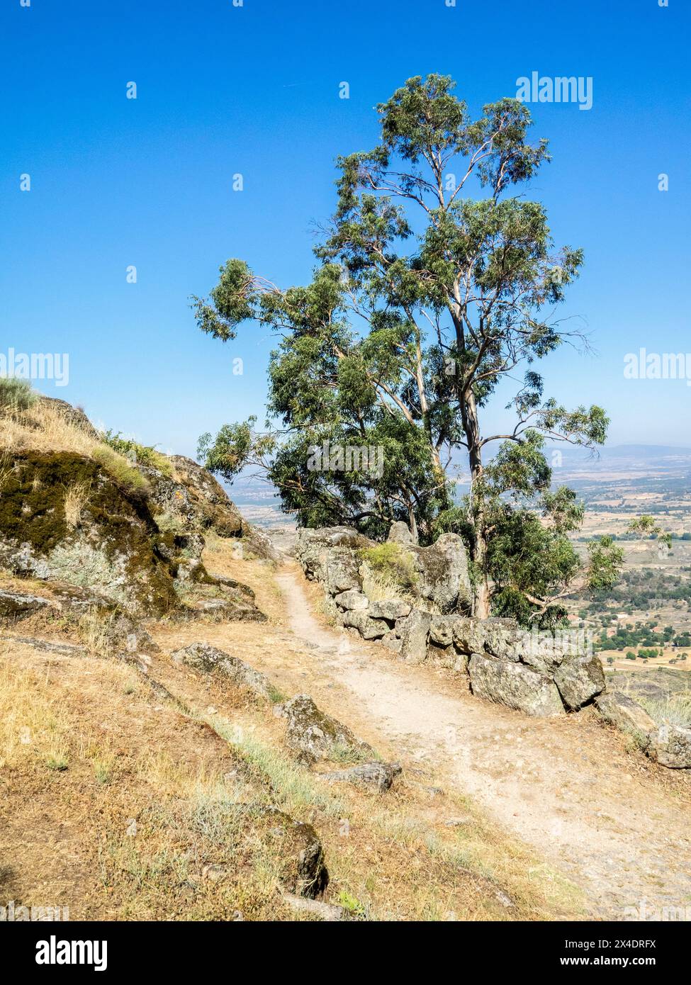 The trail leading up to the Monsanto Castle (Castelo de Monsanto) in ...