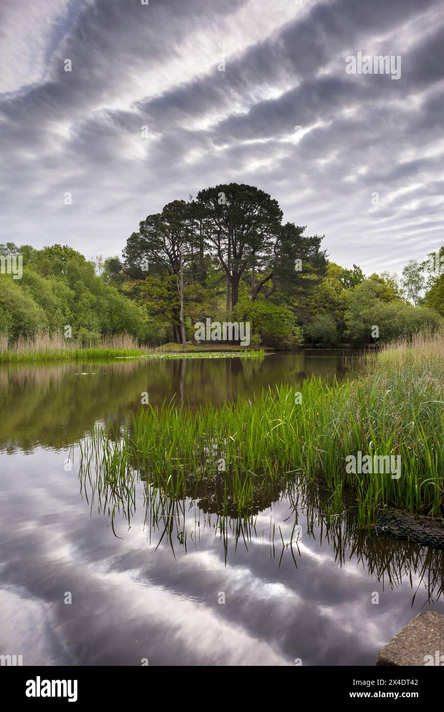 Stratocumulus undulatus clouds hi-res stock photography and images - Alamy