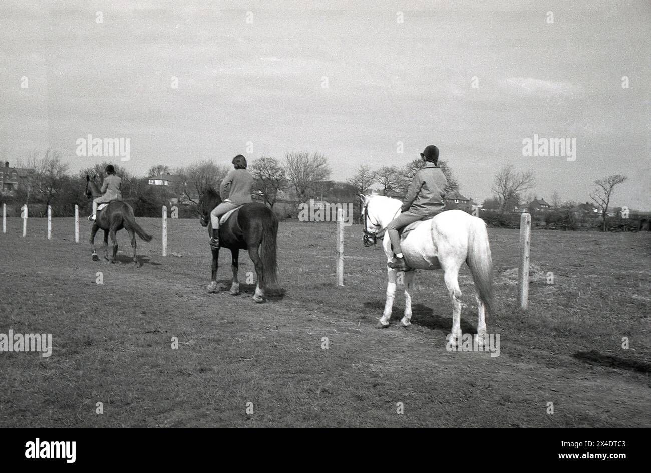 1960s, historical, at a suburban horse riding school, three girls ...