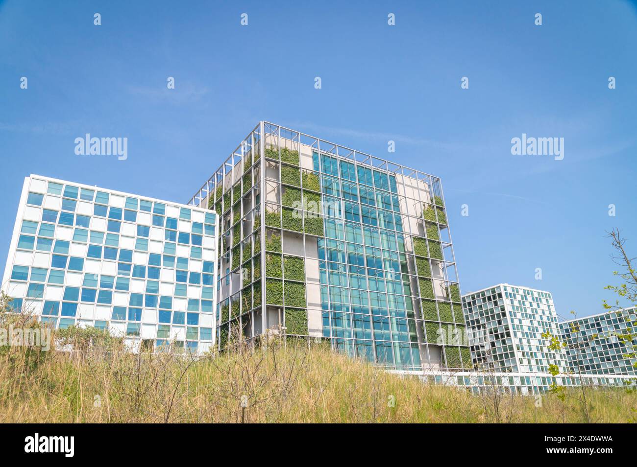 International criminal court hi-res stock photography and images - Alamy
