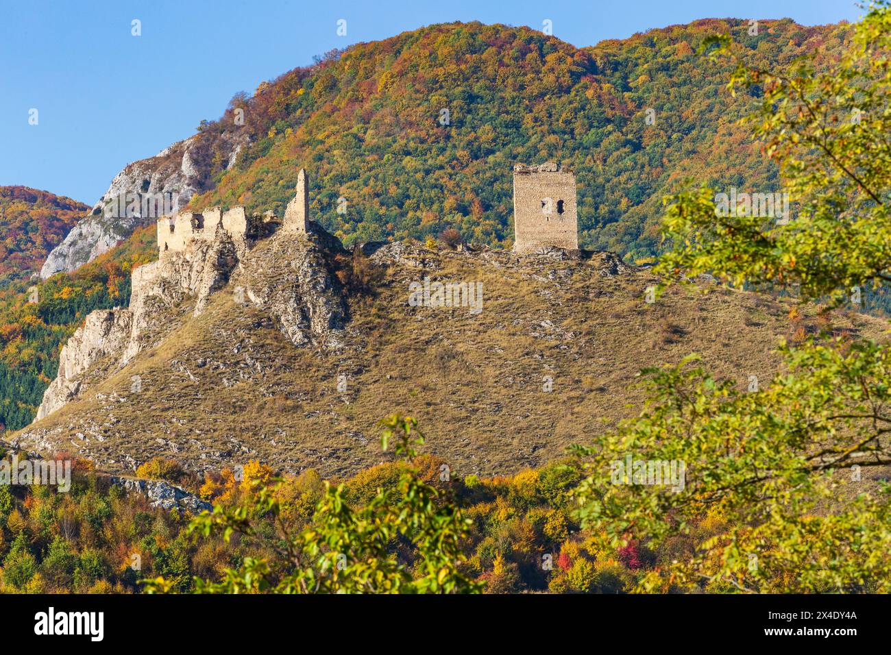 Coltesti castle hi-res stock photography and images - Alamy