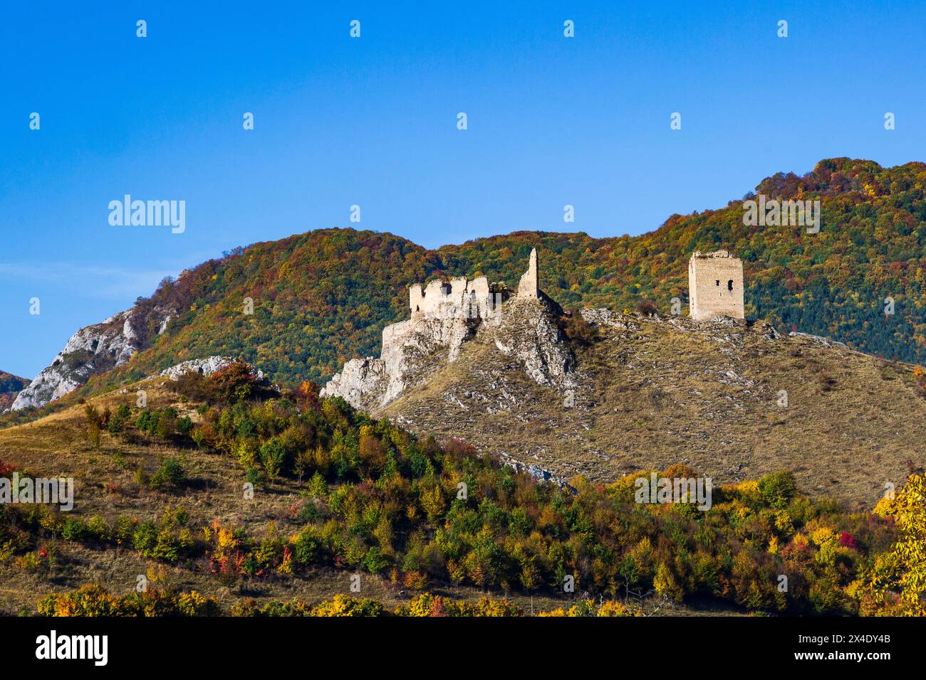 Romania, Transylvania. Coltesti Castle 11th century Ruins. Territorial ...