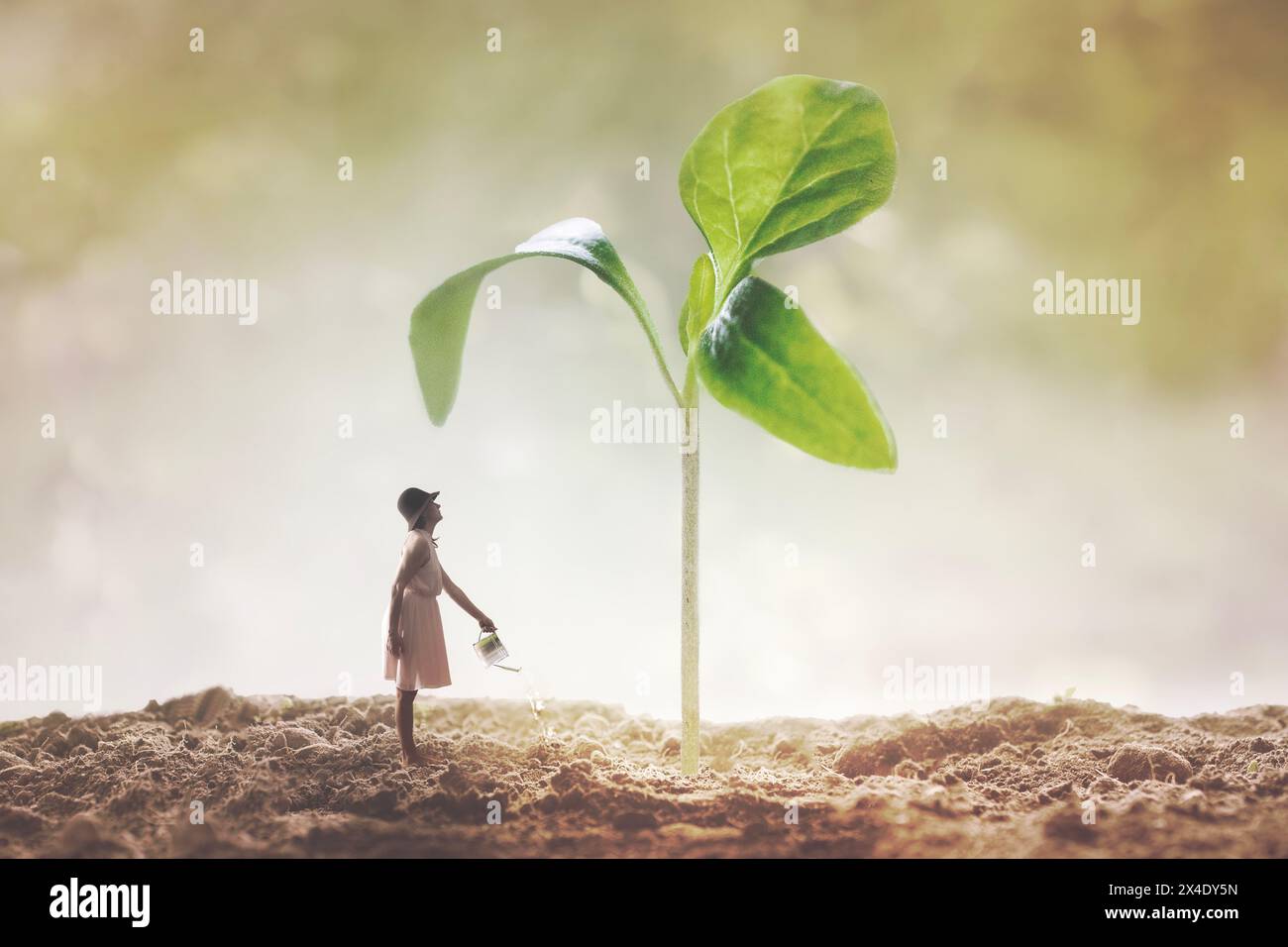 surreal woman watering a sprout that is growing, abstract concept Stock ...
