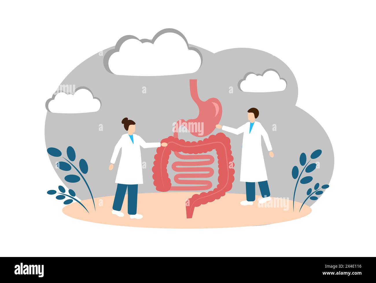 Digestive organs. Human Anatomy. Intestines and stomach Stock Vector ...