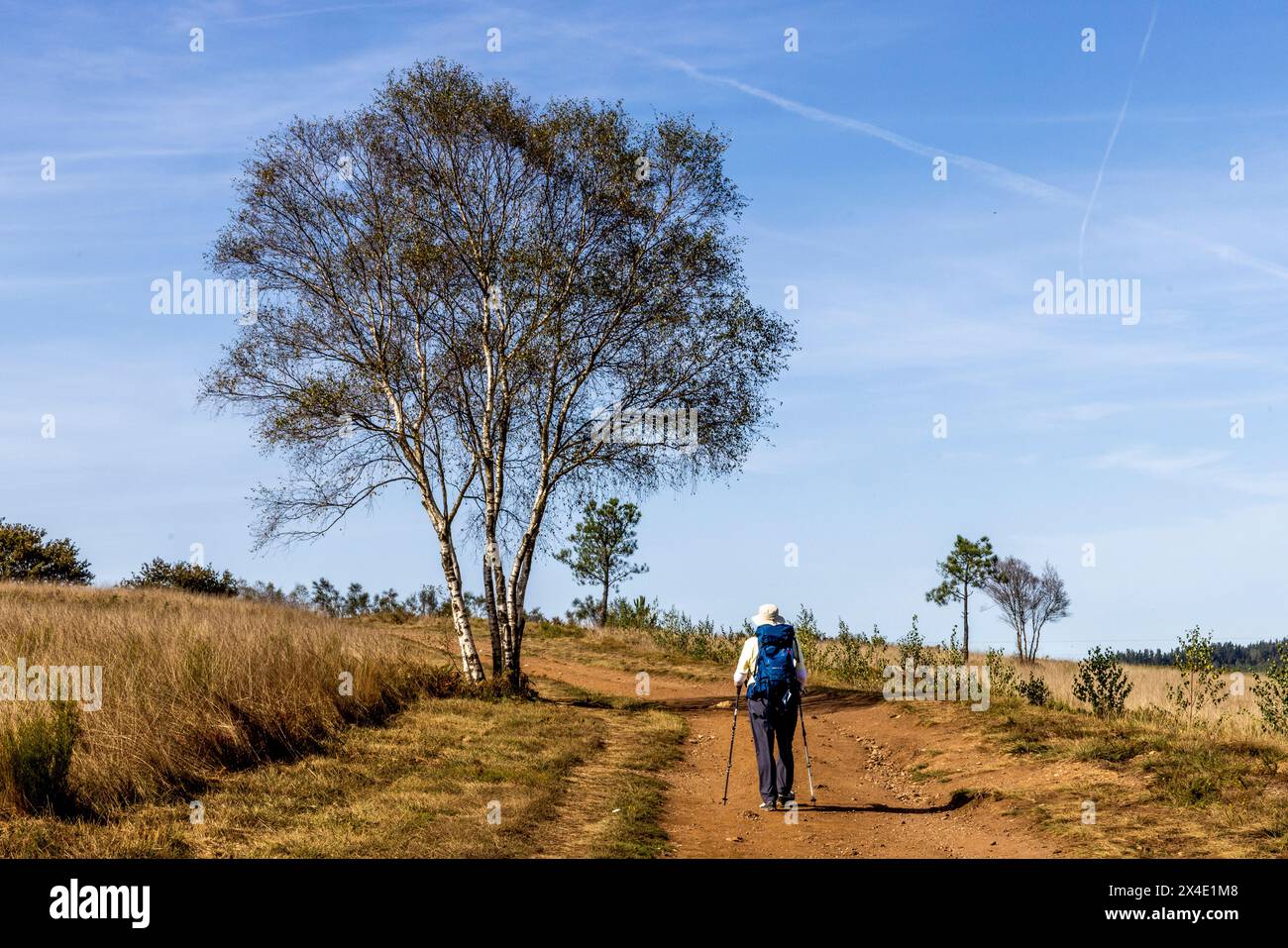 Spain, Galicia. View of the countryside between Portomarin and Ventras ...