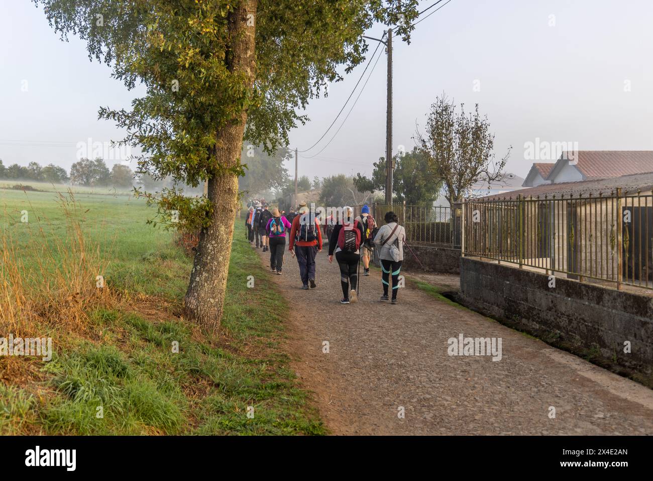 Spain, Galicia. Camino de Santiago (Way of St. James) between Arzua and ...