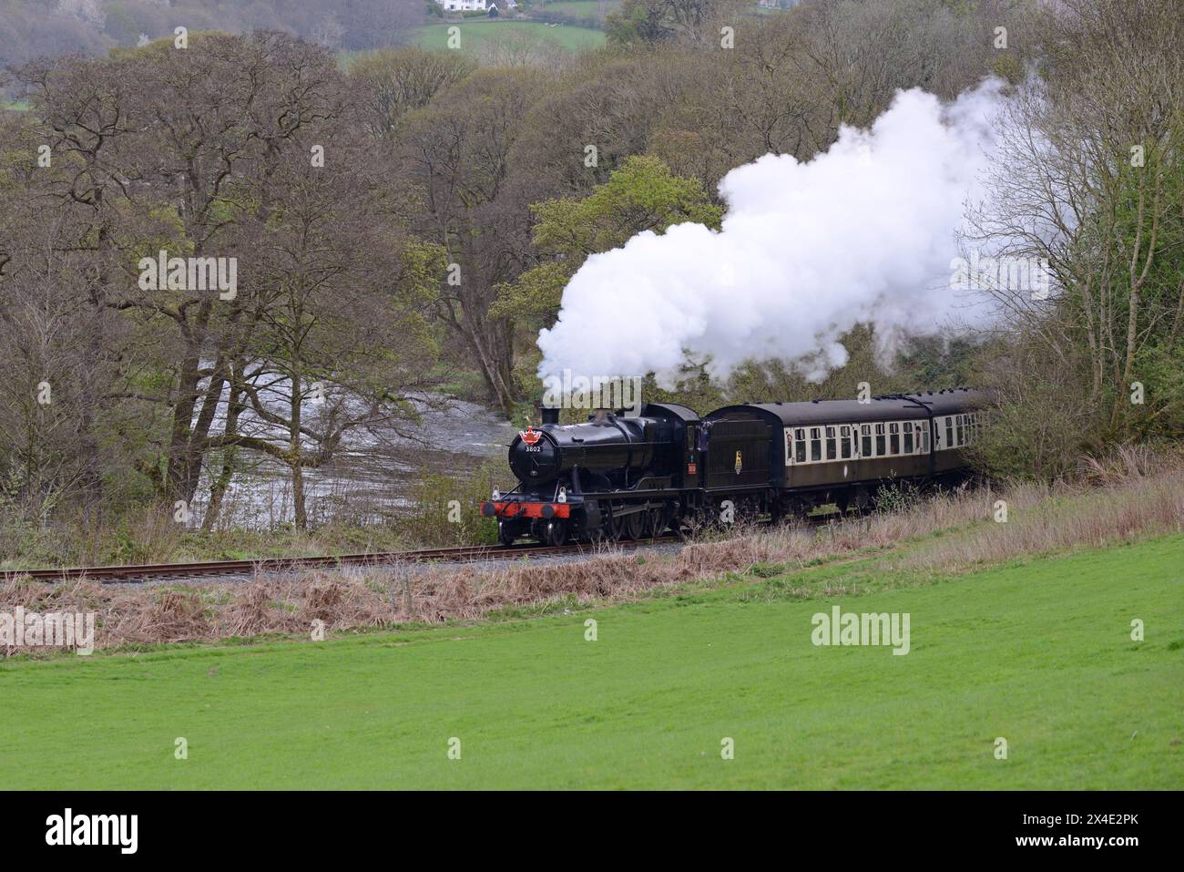 GWR steam loco 3802 between Glyndyfrdwy and Carrog at the Llangollen ...