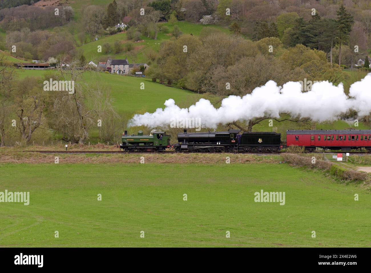 GWR 7754 and 3802 doubled heading approaching Carrog at the Llangollen ...